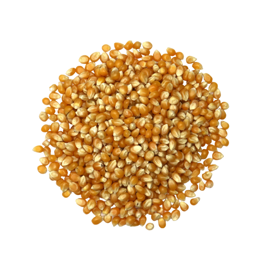 Bio Popcorn Mais