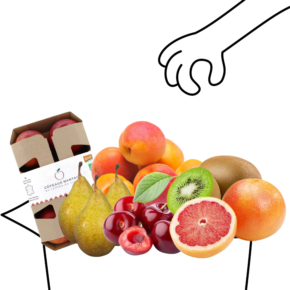 Grand panier de fruits bio - 4 à 5 personnes - La Fourche