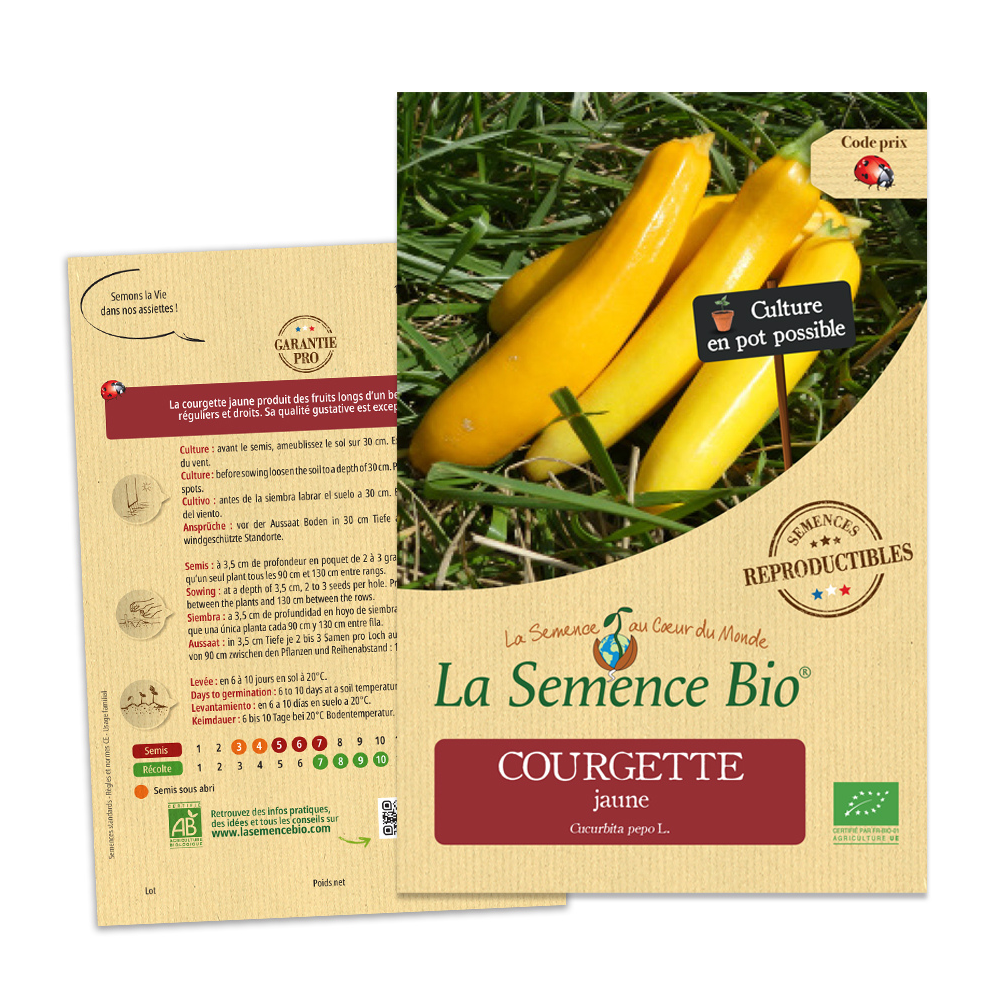 Graines bio Courgette jaune La Semence Bio