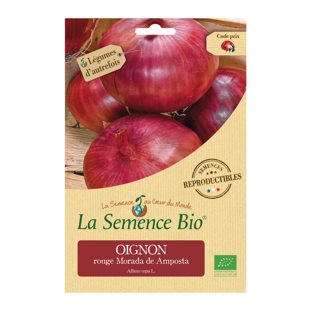 Graines Bio Oignon Rouge Morada de Amposta