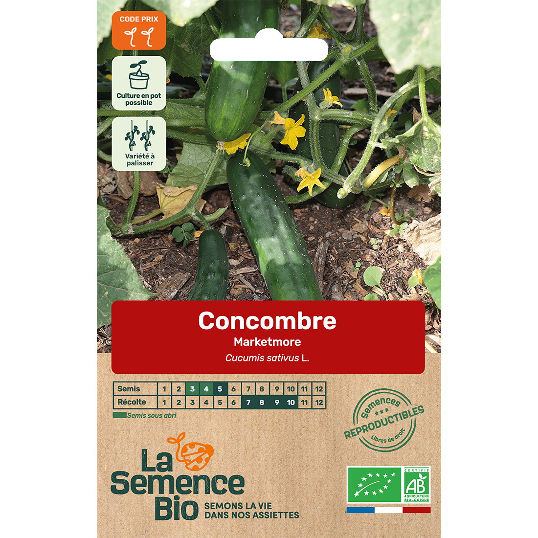 Graines Bio de Concombre Variété Marketmore - 0,7g - La Semence Bio