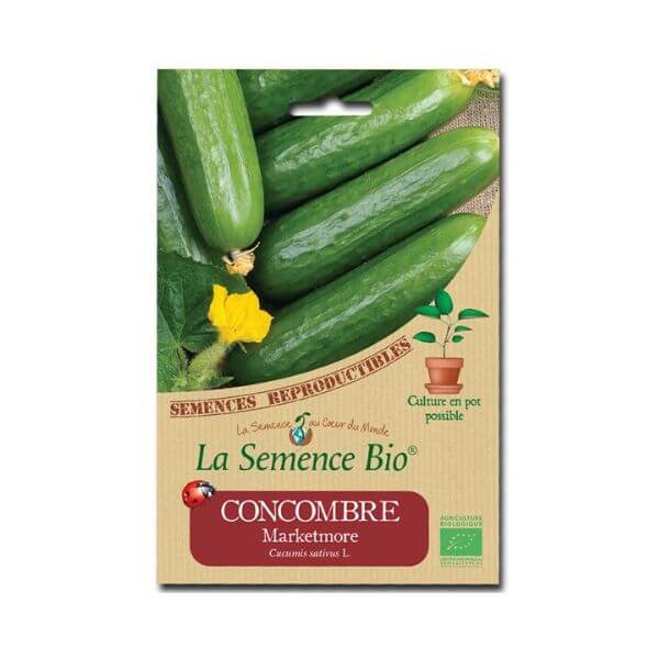 Graines Bio de Concombre Variété Marketmore - 0,7g - La Semence Bio