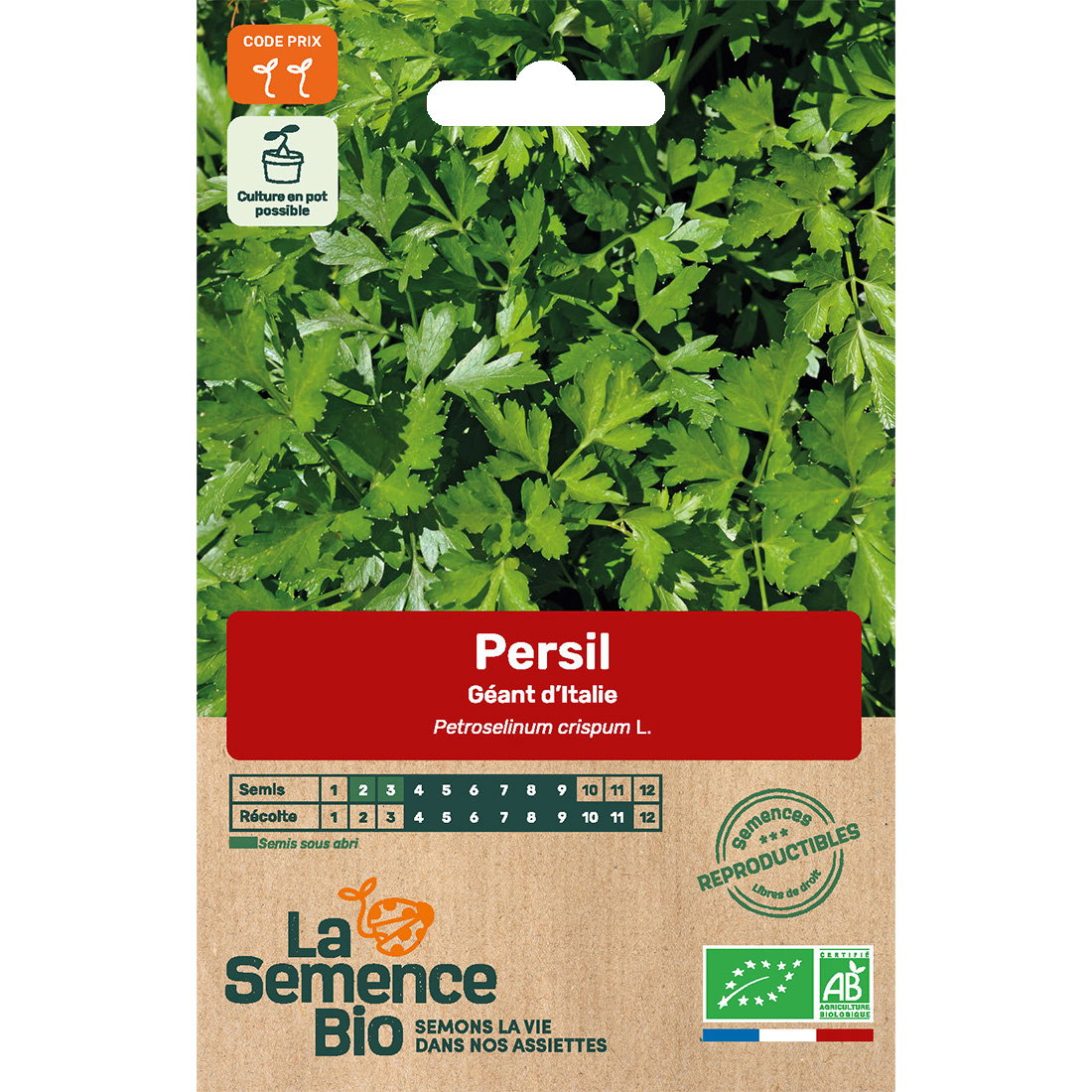 Graines Bio de Persil Variété Géant D'Italie - 3g - La Semence Bio